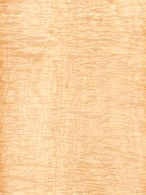 Maple Curly Cluster - APPI, LLC