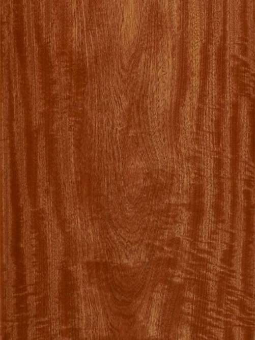 Sapele FC Fig - APPI, LLC